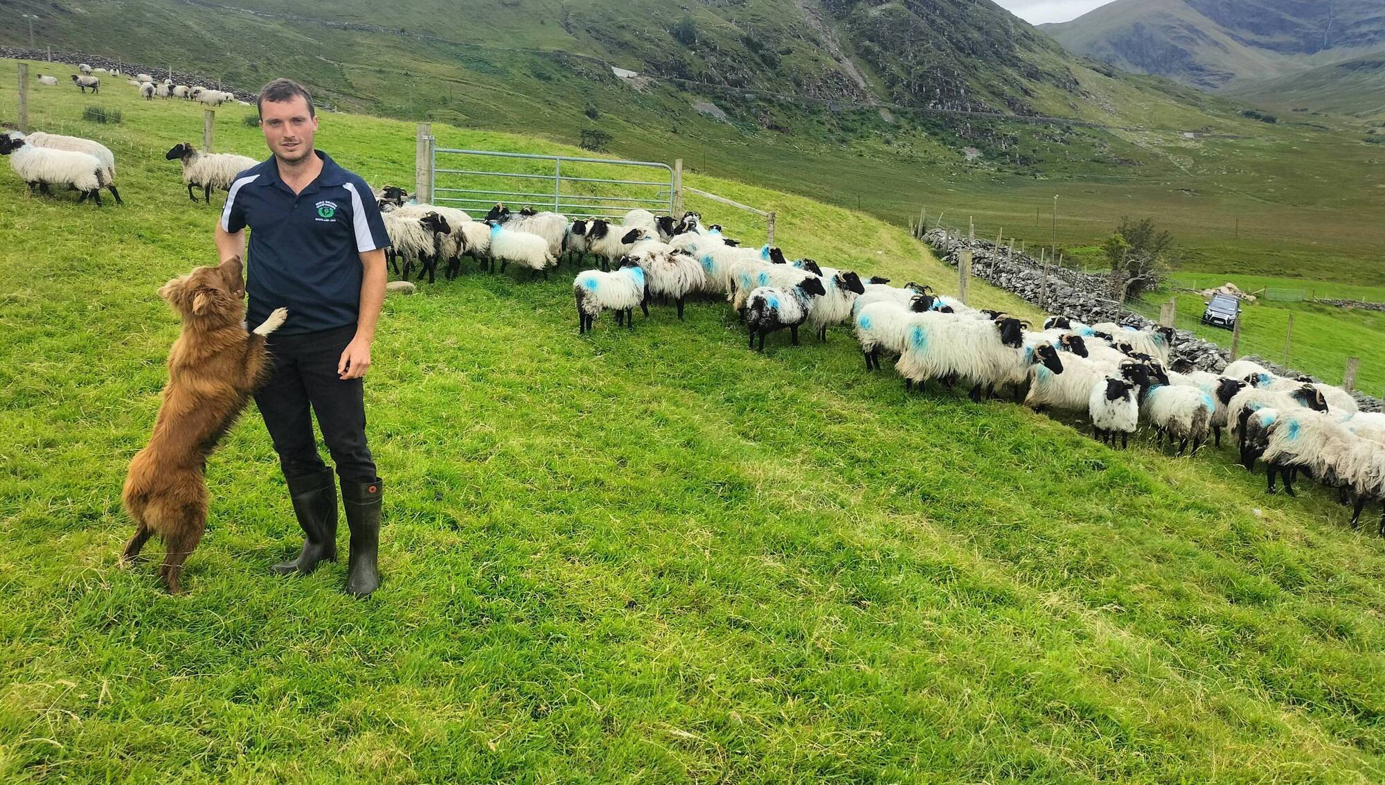 Different breed: James shows shear skill in a dying art - Life ...