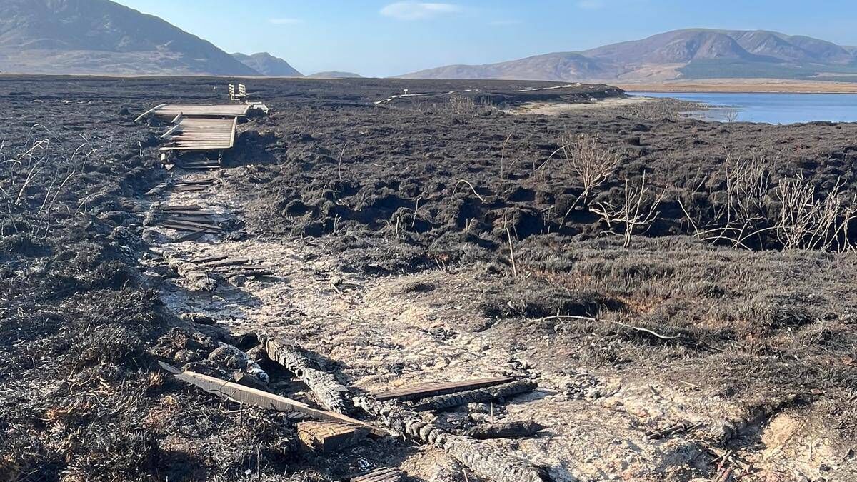 Devastation as deliberate fire destroys Mayo walking trail - news ...