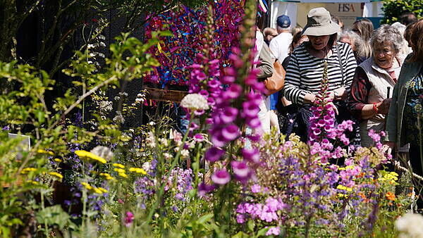 What's on and who is at Bloom this year? - Homepage - Western People